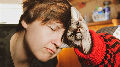 Why Does My Cat Headbutt Me