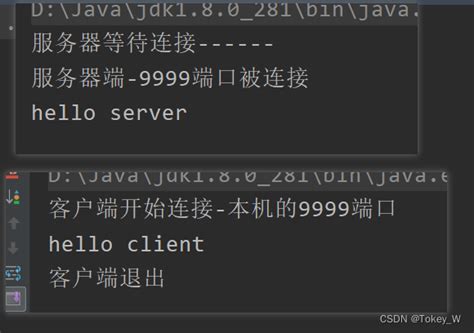 关于socket 客户端和服务端通信，为什么要flush 为什么使用shutdownoutput的问题socket Flush Csdn博客