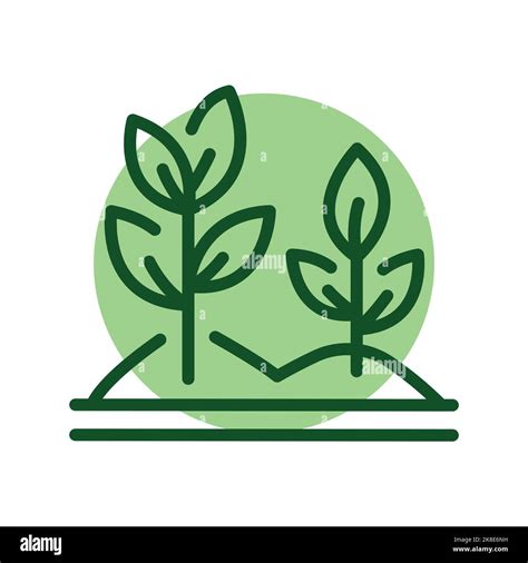 Growing Plants Color Line Icon Garden Service Stock Vector Image And Art Alamy