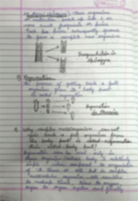 Solution How Do Organisms Reproduce Cbse Class 10 Biology With
