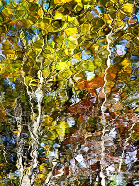 Abstract Water Reflection Tree Photography Nature Print Trees Wall Art Fine Art Photography