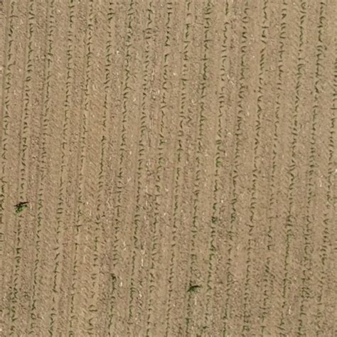 V2 70 Object Detection Dataset By Thiago Orlando