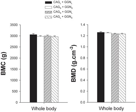 Whole Body Bone Mineral Content Bmc And Bone Mineral Areal Density
