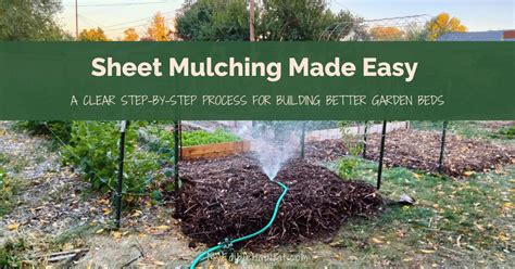 Sheet Mulching Made Easy Step By Step My Edible Habitat