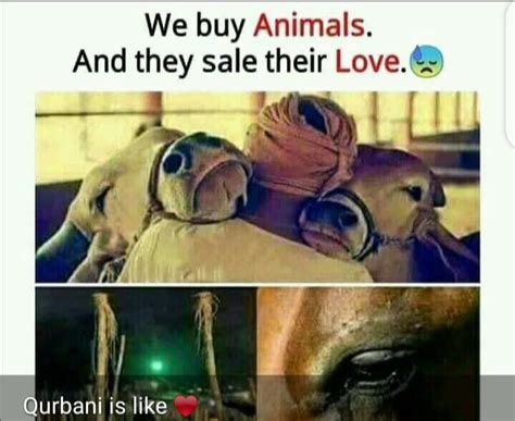 Kisi Ki Rasam Ki Khatir Kaleeja Baich Rj Rimsha Rasheed Facebook