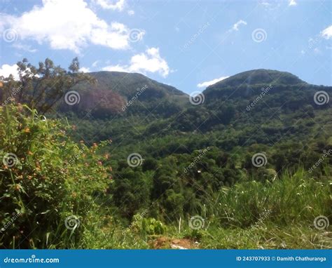 Mountans In Sri Lanka Stock Image Image Of Landscape 243707933