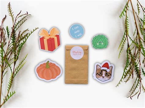 Mystery Oopsie Sticker Bag Surprise Bag Mystery Bag Seconds Bag Goody Bag Oops Bag