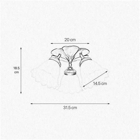 Brass Ceiling Light With Floral Frosted Glass Shades Ghidini 1849