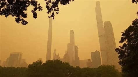 Más De 8 Millones De Muertes En El Mundo Por La Contaminación Del Aire