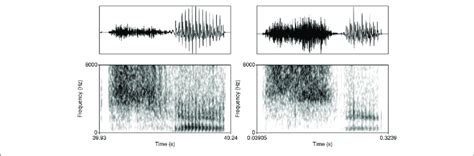 Waveforms And Spectrograms 0 8 000 Hz Of Two Generated Outputs Of