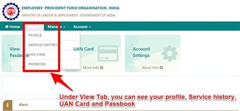 How To Download Epf Passbook And Uan Card Online Instantly