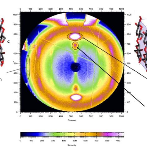 Diffraction Image Of A Pine Sample Submerged In Water At The Initial Download Scientific