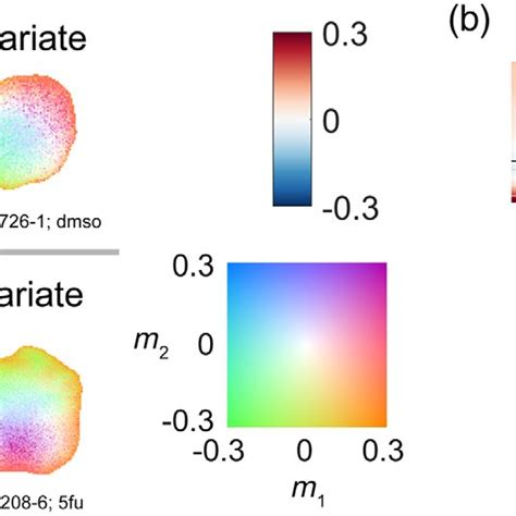 A Bivariate Color Representation Of Drug Responses Of Two Samples Download Scientific Diagram