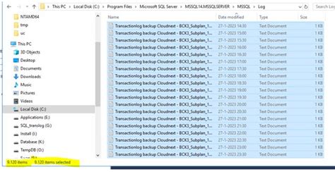 Deleting Text Report Files With Maintenance Cleanu Sap Community