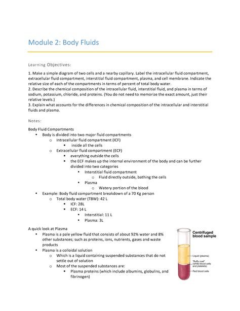 Phys 2130 Module 2 Phys 2130 Uwo Studocu