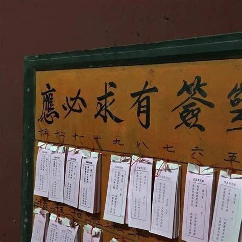 人生后悔的两件事：读书时偷懒，赚钱时矫情简介教育课天下