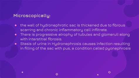 Hydronephrosis Pdf