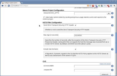 Hsts Filter Jenkins Plugin