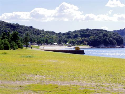直島のシンボル再び！草間彌生さんの「南瓜」を復元台風の影響で海に流され…【香川】 真理を黙って実行する
