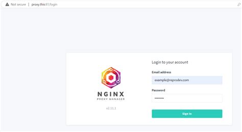 Get Started With Docker Part 5 Forward Custom Hostnames With Nginx Proxy Manager And Pi Hole