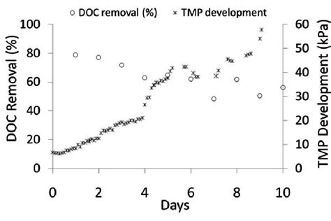 Doc Removal Efficiency And Tmp Development Of The Long Term Submerged Download Scientific