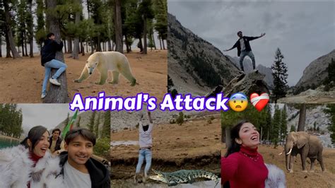 Kalam Me Huwa Boht Khatarnak Adventure 🏔️😨 Day 3 Youtube