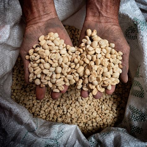 Explore Ibm Ibm Blockchain