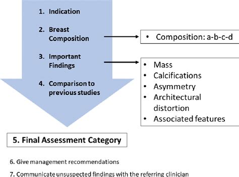 Figure 2 From Mammography Datasets For Neural Networks—survey Semantic Scholar