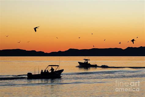 Dawn Photograph By Becqi Sherman Fine Art America