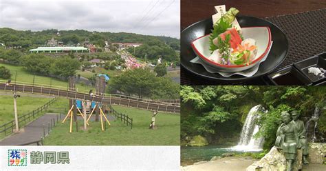 【静岡県】ペットとめぐる観光・グルメスポット6選｜ペットと楽しめる静岡旅プランをご紹介 旅サラダplus｜朝日放送
