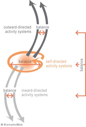 Im Balance Within An Entity System Content Biomatrix Systems Theory