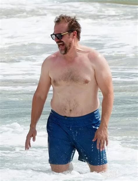 David Harbour David Harbour Stranger Things David Harbor American