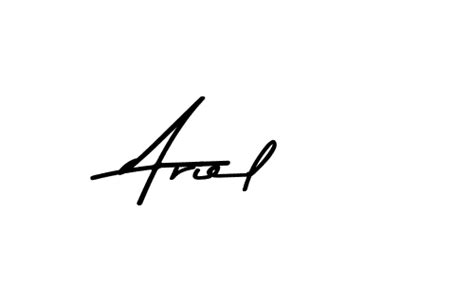 92 Ariel Name Signature Style Ideas Get E Sign