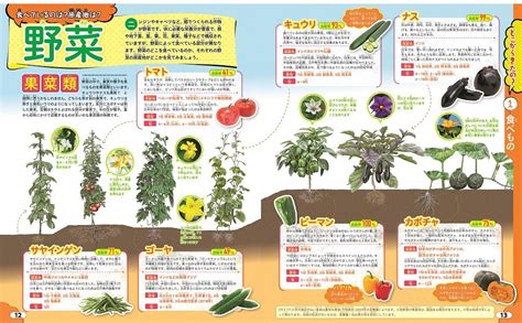 るるぶ どこからきたの 食べものandくらしイラスト大図鑑 原材料 産地 学習 地図 こども絵本 本 通販 Amazon