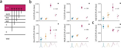 Figures And Data In Functional Interactions Among Neurons Within Single Columns Of Macaque V1