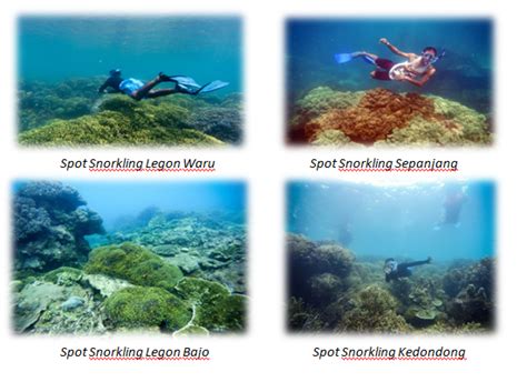 Paket Wisata Pulau Sangiang Banten Paket Wisata Paket Tour Paket