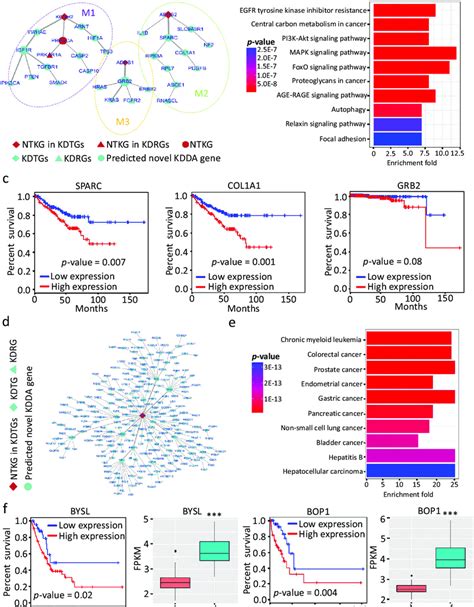 Kddanet Provided Novel Molecular Insights On Kddas Related To Cancer A