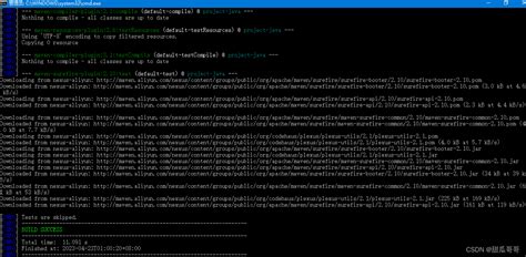 Mvn Test Failed To Execute Goal Org Apache Maven Plugins Maven