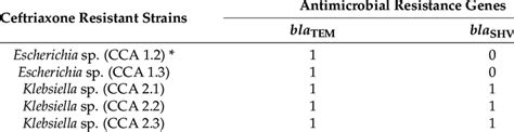 Presence Of Antimicrobial Resistance Genes In The Isolated Strains