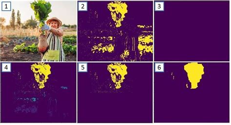 Evolution Of The Segmentation Process 1 Original Image 2 First