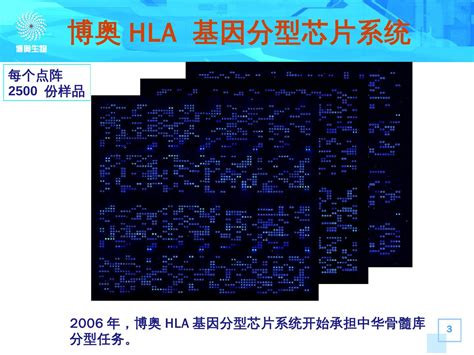 HLA高分辨分型