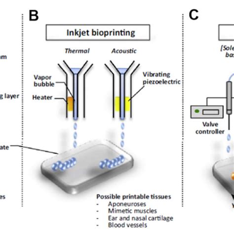 Schematic Representation Of 3D Bioprinting Technologies A