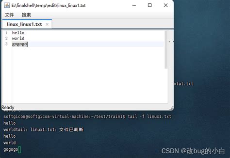 Linux系统命令详解 ls la CSDN博客