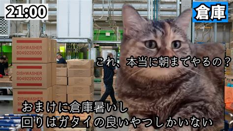 猫ミーム倉庫軽作業バイトを甘く見ていた結果ww 猫ミーム 猫マニ YouTube