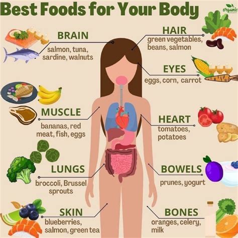Health Tips Best Foods For Your Body Food Pyramid