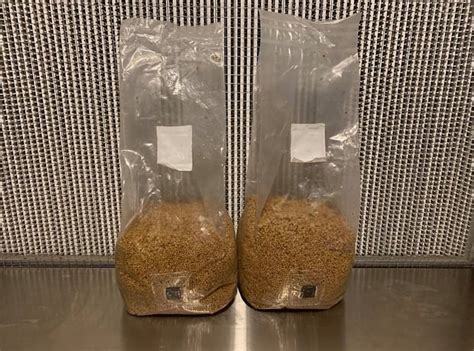 Lb White Millet Grain Spawn Bag Sterilized W Micron Filter Patch And Self Healing
