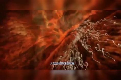 精子进入女性体内后，会经历哪些事情？千万别脸红不来了解经历事情精子