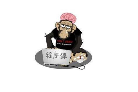 想当程序员，学什么技能？