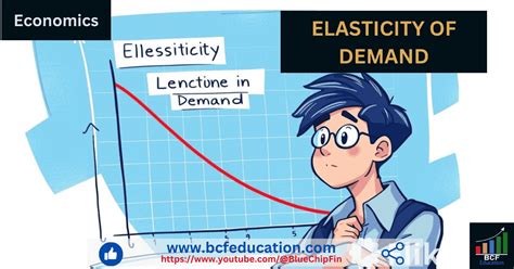3 3 Elasticity Of Demand Bcfeducation