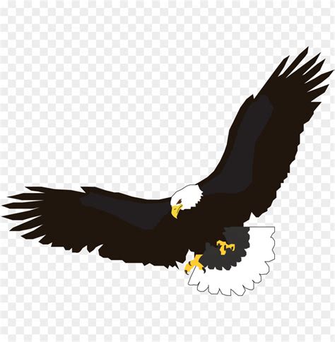 Free Download Hd Png Bald Eagle Flying With Wings Spread Png Toppng